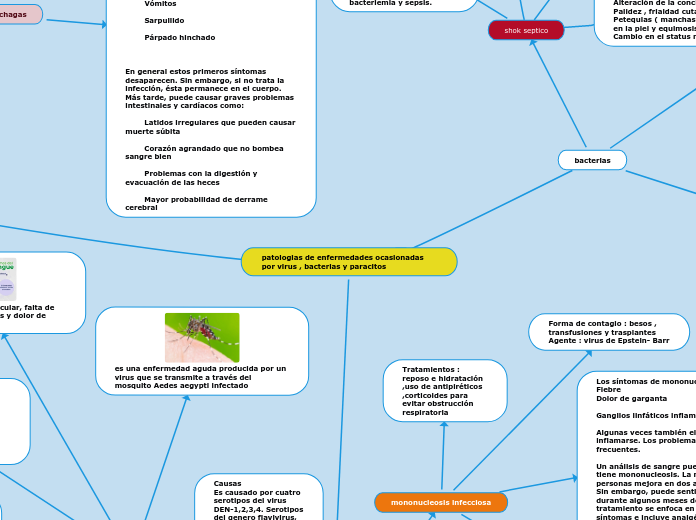 Patologias De Enfermedades Ocasionadas Por Mind Map